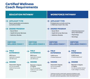Certified Wellness Coach Certification Specific Questions - HCAI